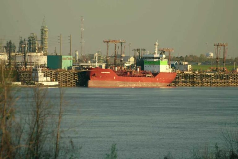 Top 5 Steps to get Your Load on the Cargo Ship for Export